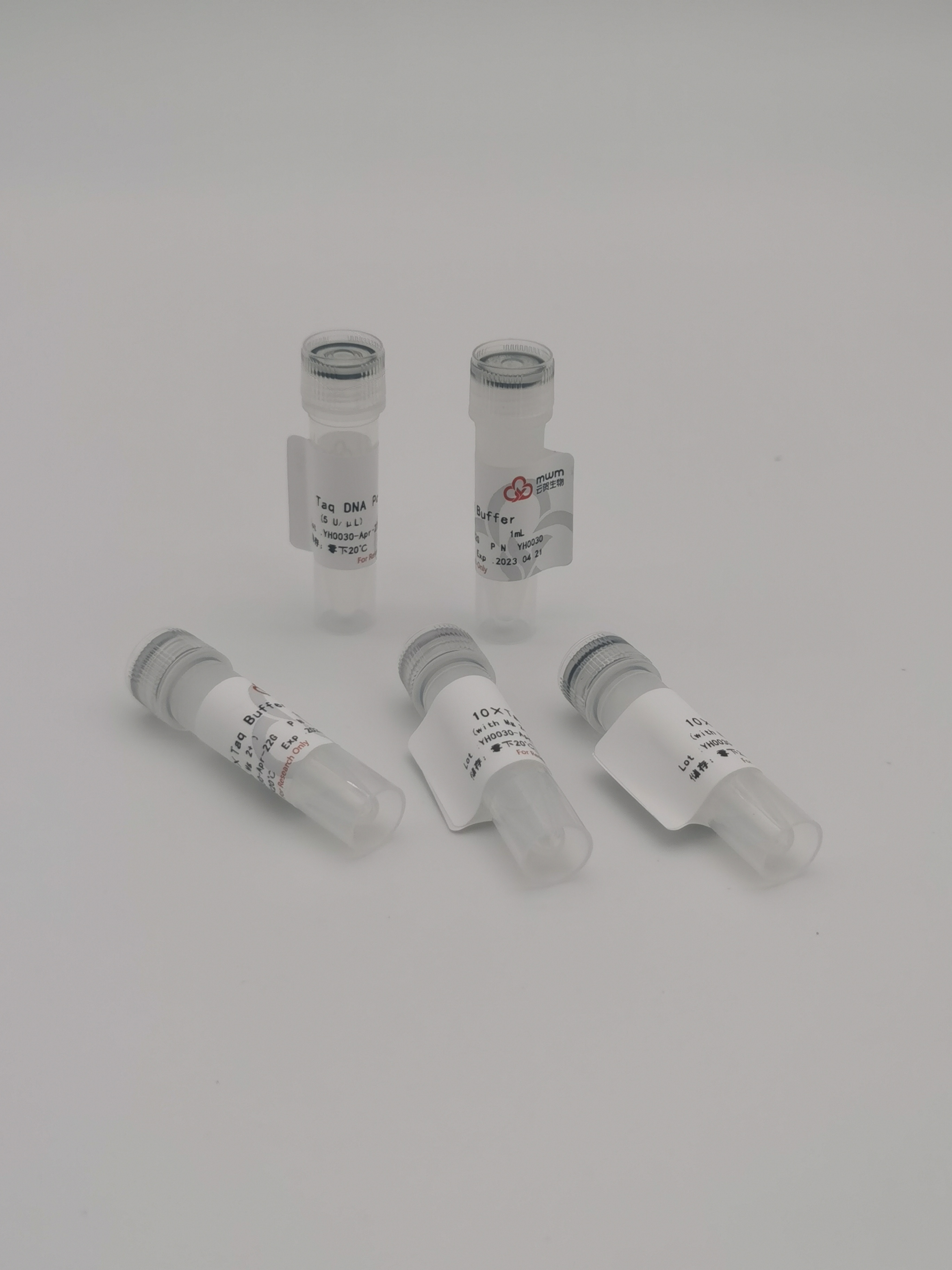 Taq DNAPolymerase (Mg2+ plus buffer)
