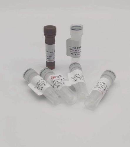 2X qPCR SYBR Green Master Mix