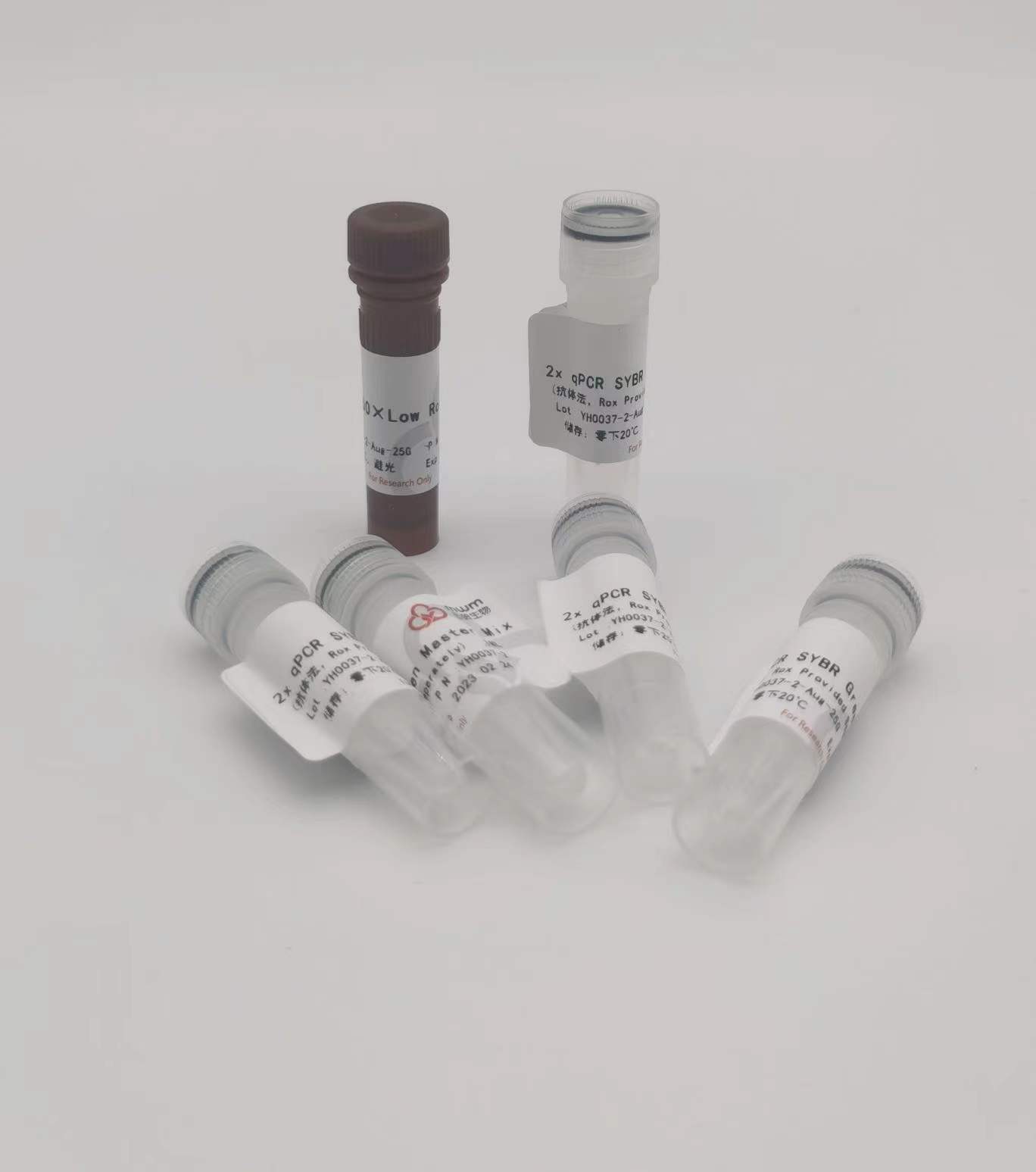 2X qPCR SYBR Green Master Mix